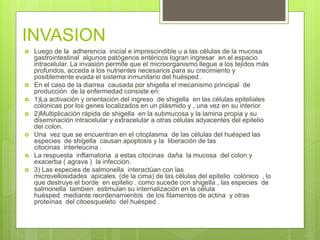 Infecciones gastrointestin original | PPTX