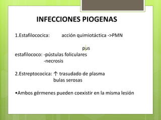 Infecciones piogenas | PPTX