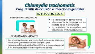 Infecciones por chlamydia | PPTX