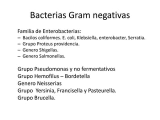 Infecciones por Gram Negativos.pptxvvvvv | PPTX