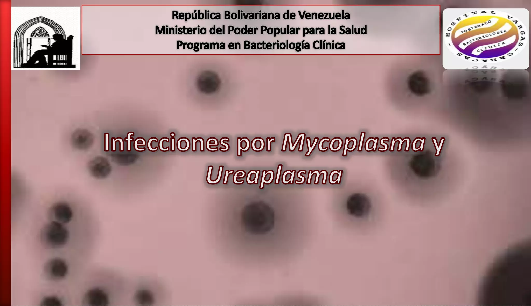 Ureaplasma En Hombres Causas Sntomas Y Tratamiento Foto Salud Infección ...