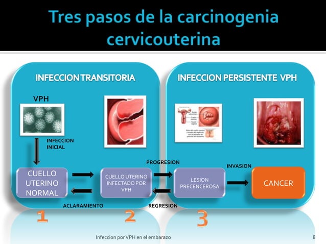 Infecciones por vph en el embarazo | PPTX