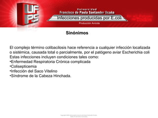 enfermedades bacterianas producidas por escherichia coli en aves | PPT