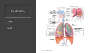Infecciones respiratorias altas y bajas | PPTX