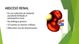 INFECCIONES URINARIAS clases de pregrado.pptx