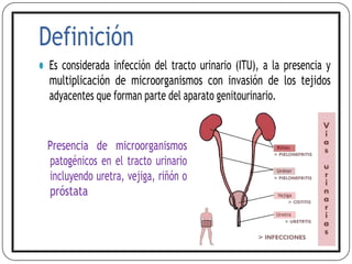 INFECCIONES URINARIAS FISIOPATOLOGIA...pdf