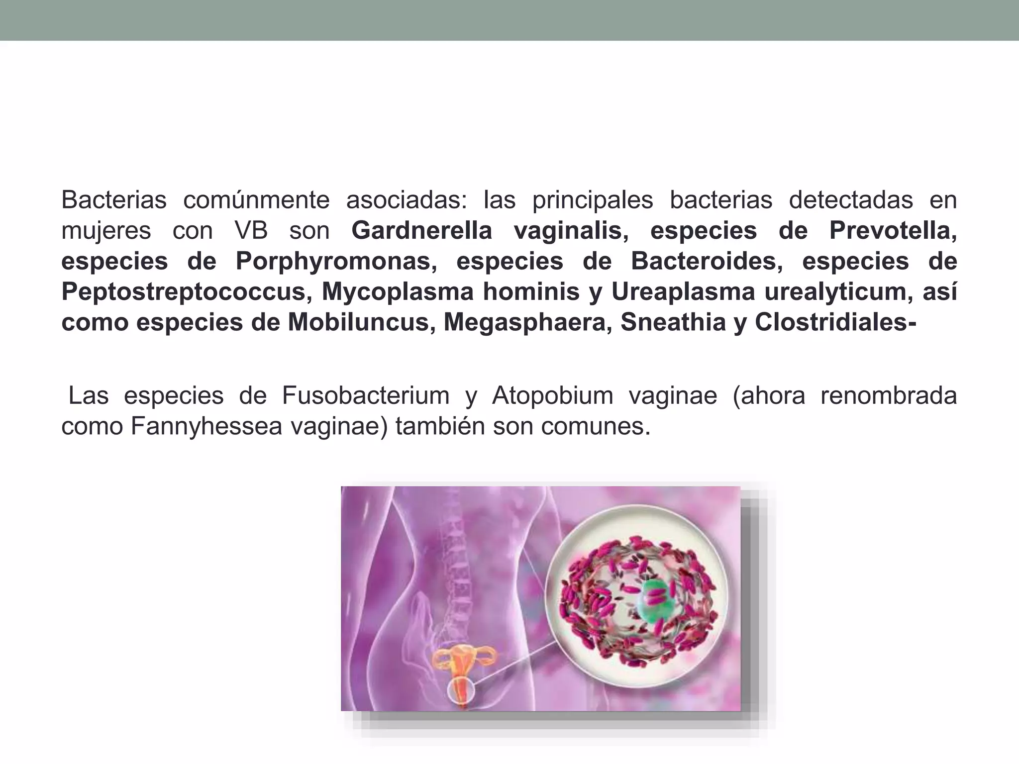 Infecciones vaginales por bacterianas y hongos.pptx