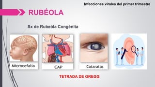 Infecciones virales del embarazo G4.pptx