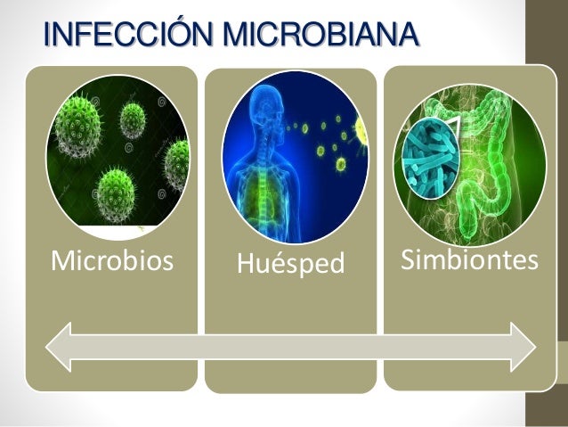 Infeccion microbiana