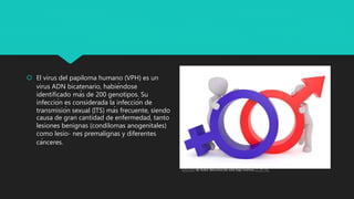Infeccion por VPH | PPTX