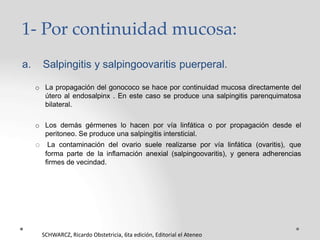 infeccion puerperio.pptx