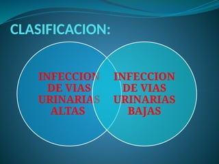Infeccion Urinaria Alta Y Baja En El Ser Humano Pptx