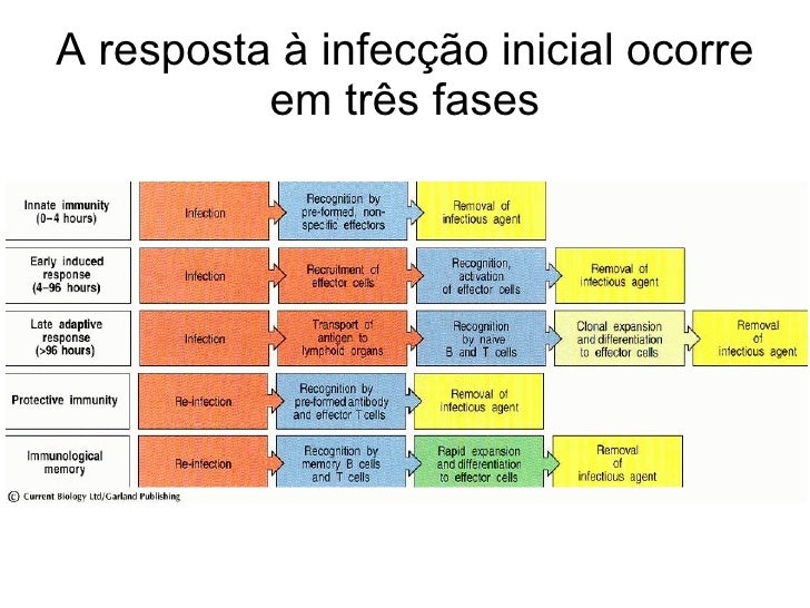 Infecções
