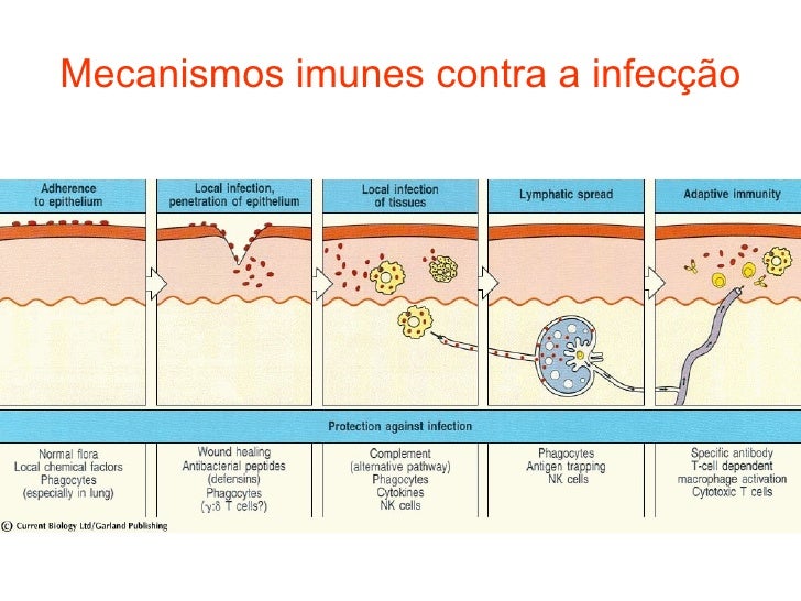 Infecções