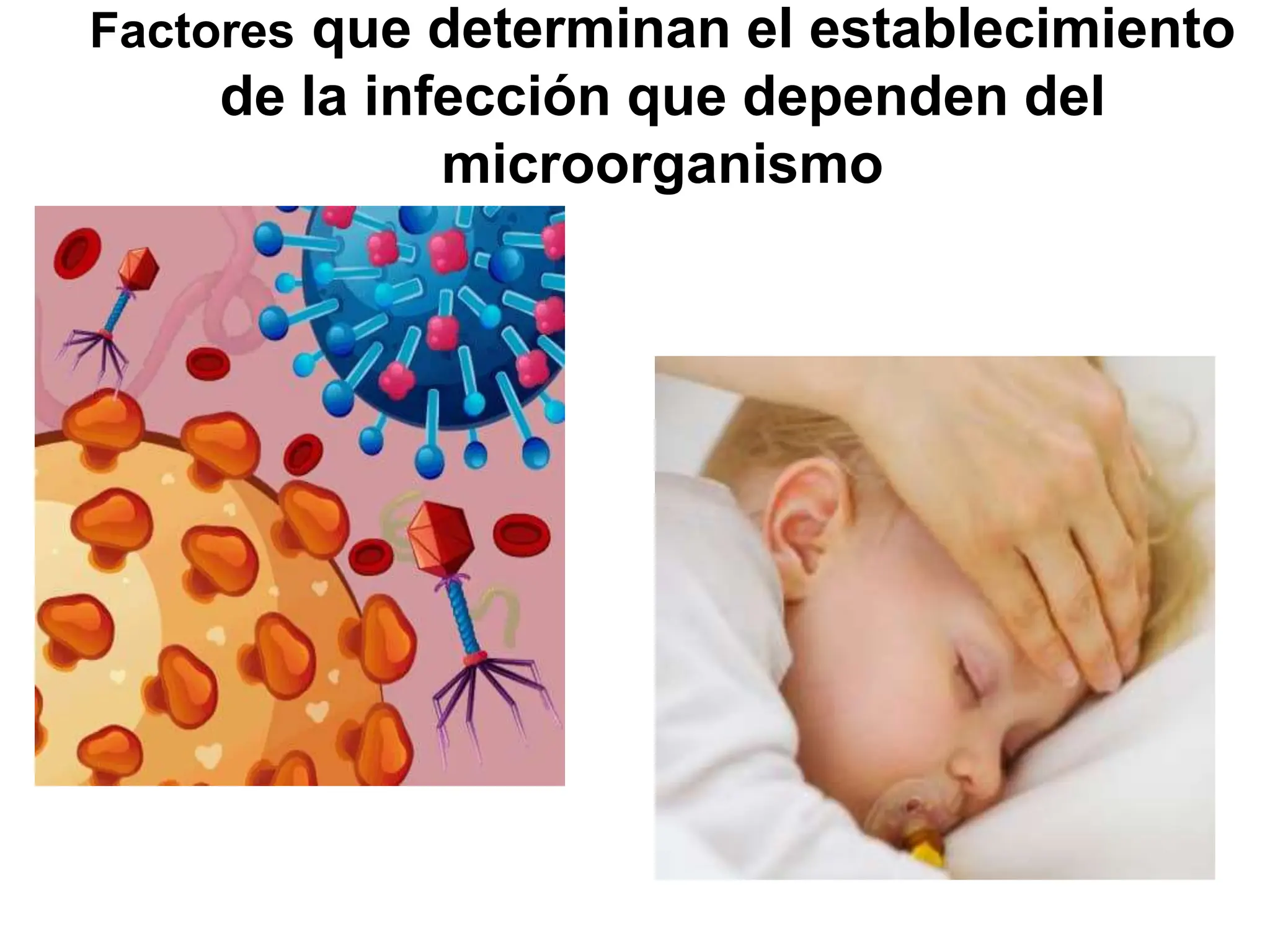 INFECIONES MORFO FISIOPATOLOGÍA BUCAL EN CAVIDAD BUCAL | PPT