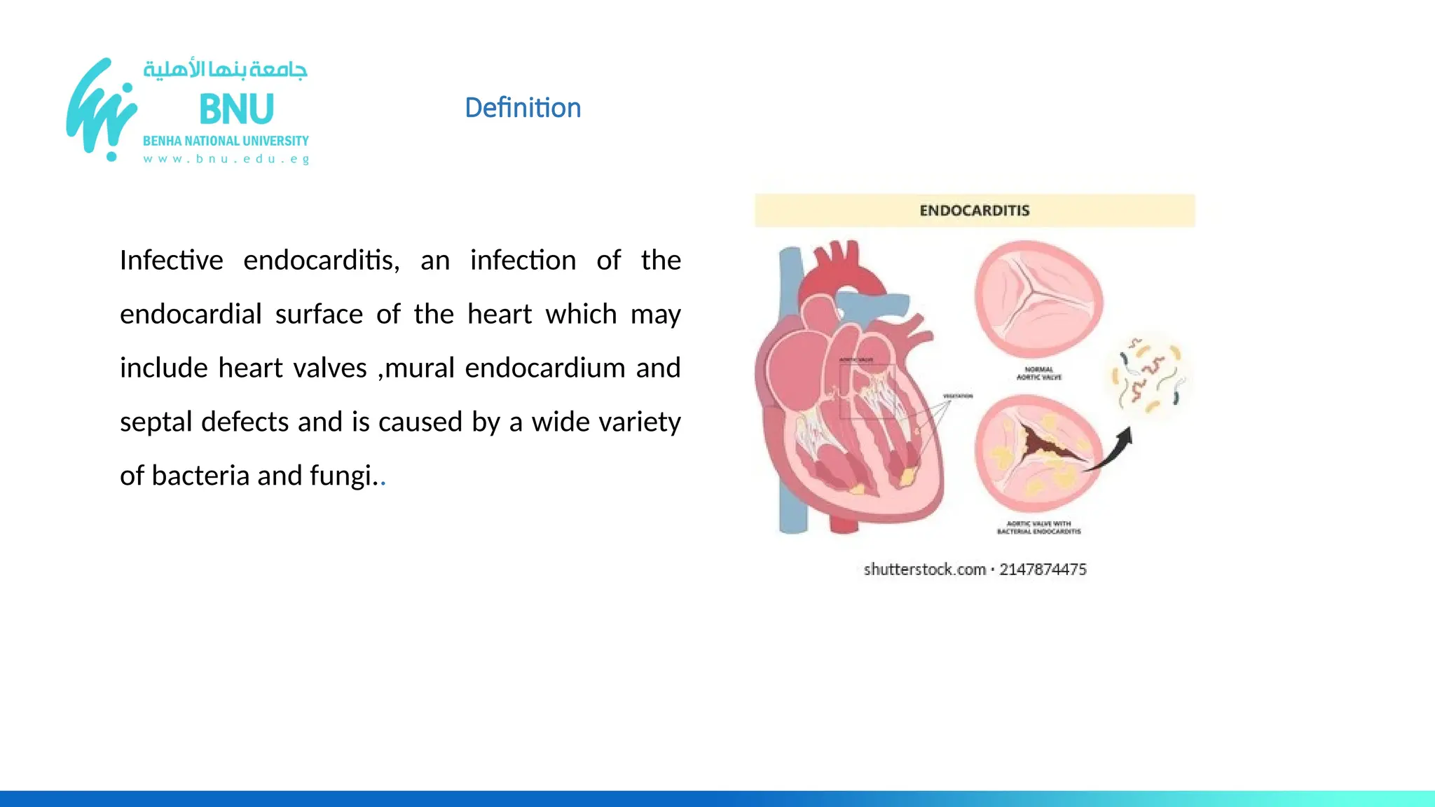 infecive endocarditis.pptx, Liver 'function' tests | PPTX
