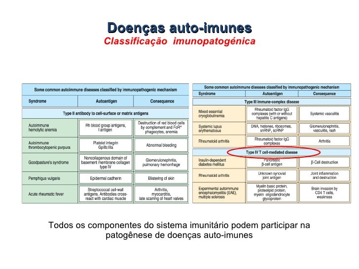 Infecção e Auto-imunidade