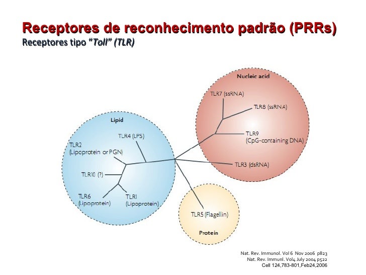 Infecção e Auto-imunidade