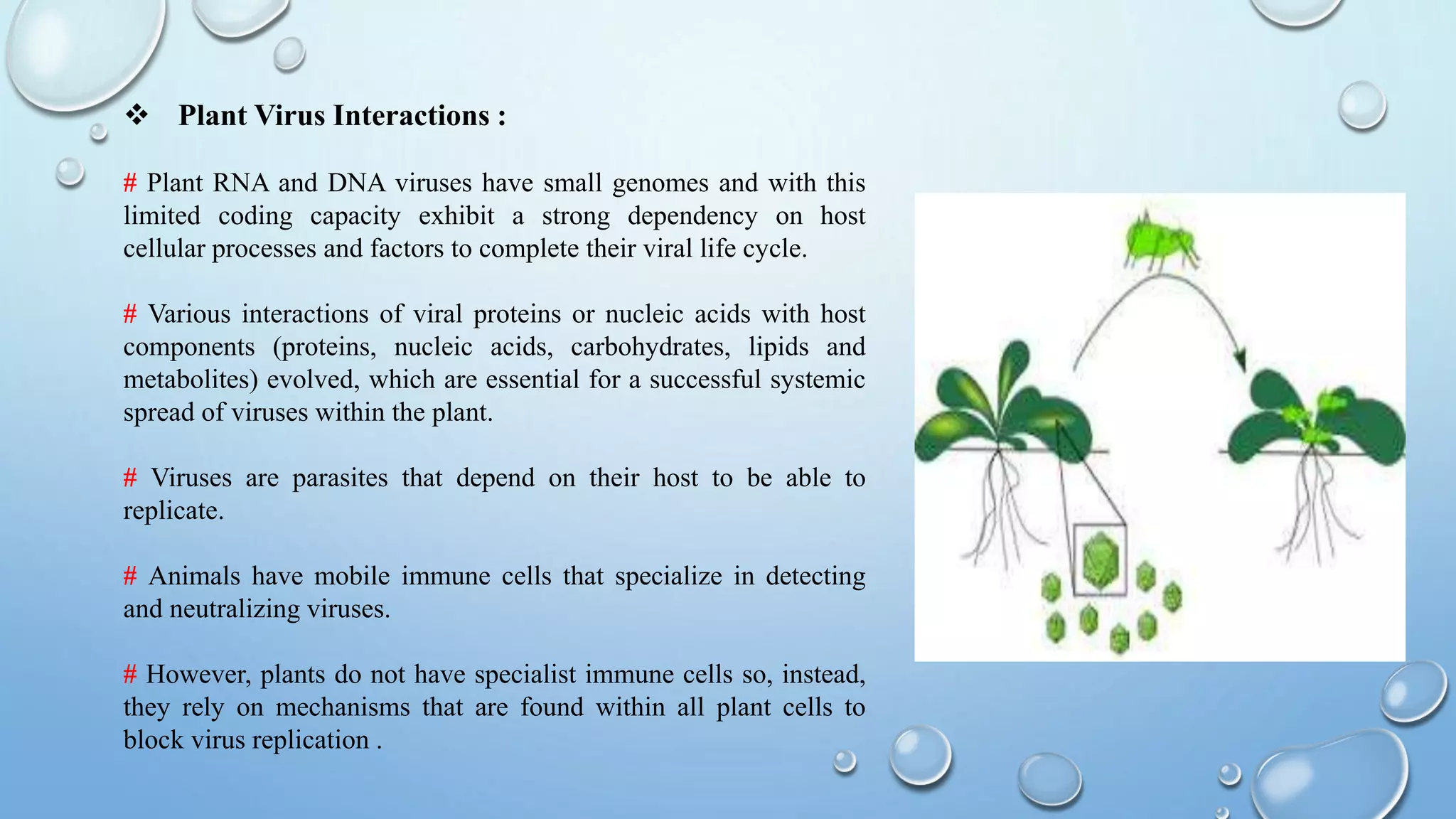 Infected plant virus metabolism and affects | PPTX