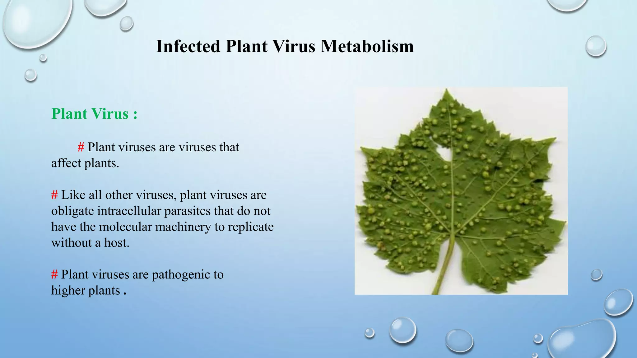 Infected plant virus metabolism and affects | PPTX