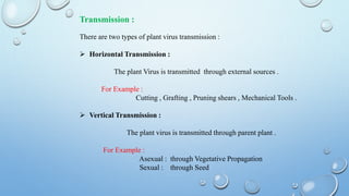 Infected plant virus metabolism and affects | PPTX