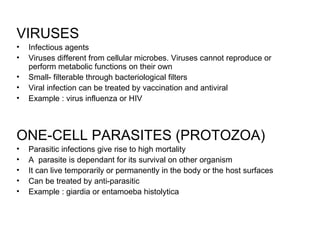 Infection | PPT | Infectious Diseases | Diseases and Conditions