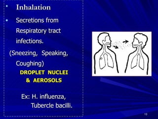 Infection | PPT