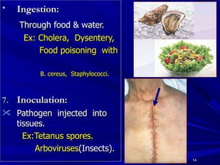 Infection | PPT