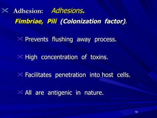 Infection | PPT