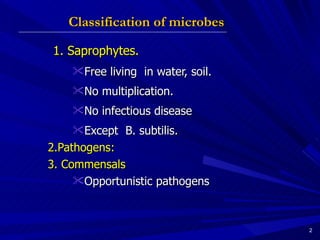 Infection | PPT
