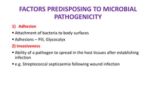 Infection | PPT