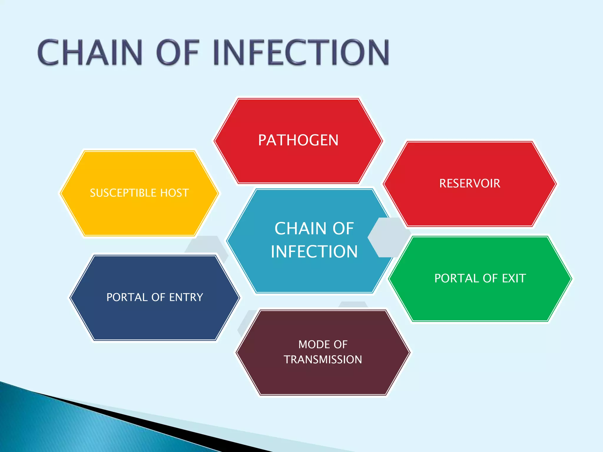 Infection | PPT