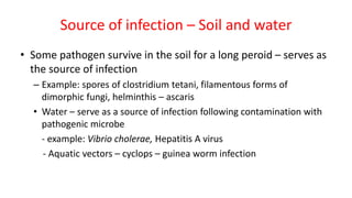 Infection | PDF
