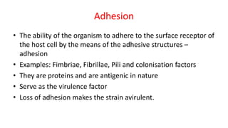 Infection | PDF