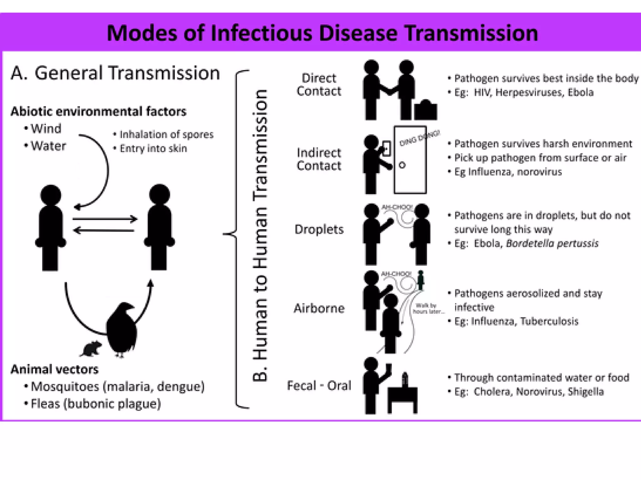 Infection-Source, Reservoir, Transmission & Prevention | PPTX