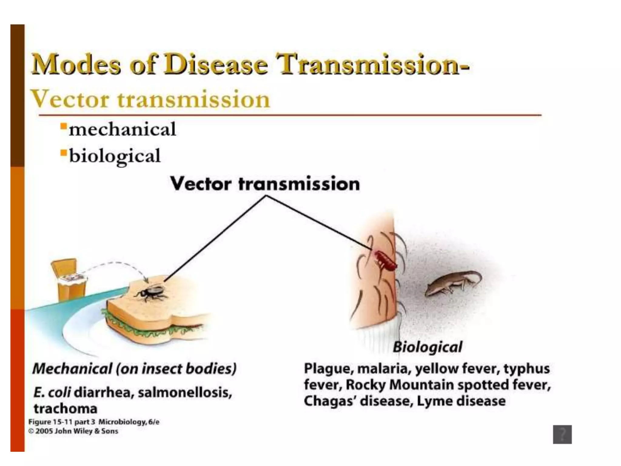 Infection-Source, Reservoir, Transmission & Prevention | PPTX