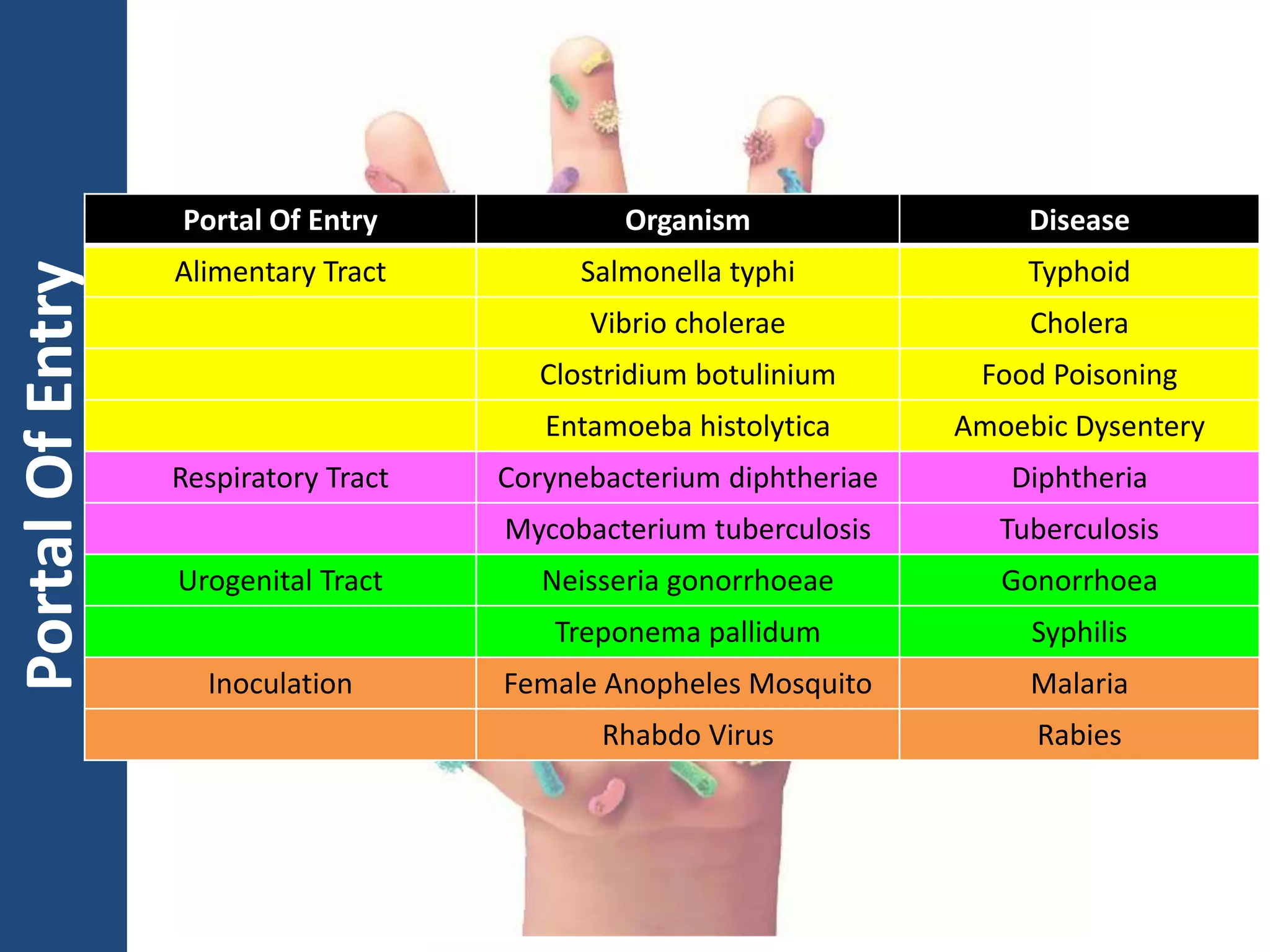 Infection-Source, Reservoir, Transmission & Prevention | PPTX