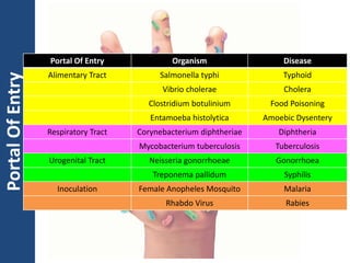 Infection-Source, Reservoir, Transmission & Prevention | PPTX