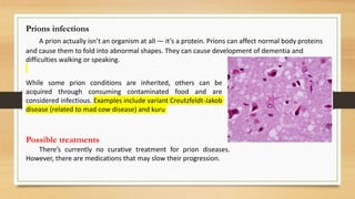 Infection | PPT