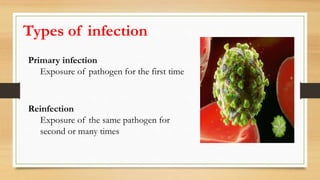 Infection | PPT