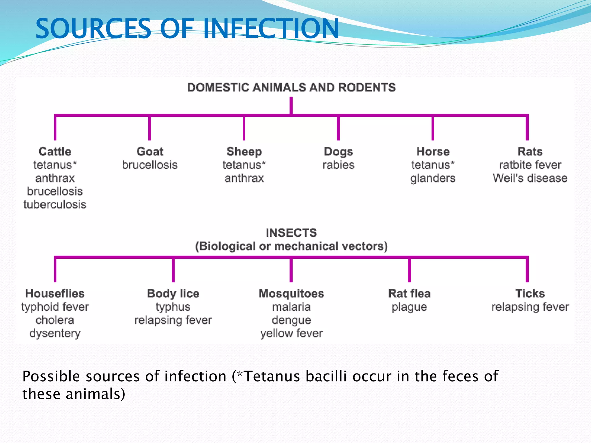 Infection | PPTX