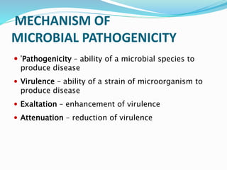 Infection | PPT