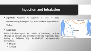 Infections: Types, Sources, Routes and Spread of Infectious diseases.pptx