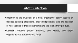 Infections: Types, Sources, Routes and Spread of Infectious diseases.pptx