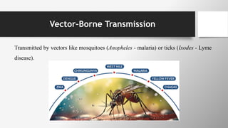 Infections: Types, Sources, Routes and Spread of Infectious diseases.pptx