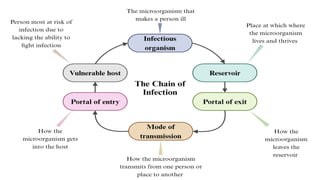 Infections: Types, Sources, Routes and Spread of Infectious diseases.pptx