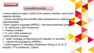Infection - penicillins | PPTX