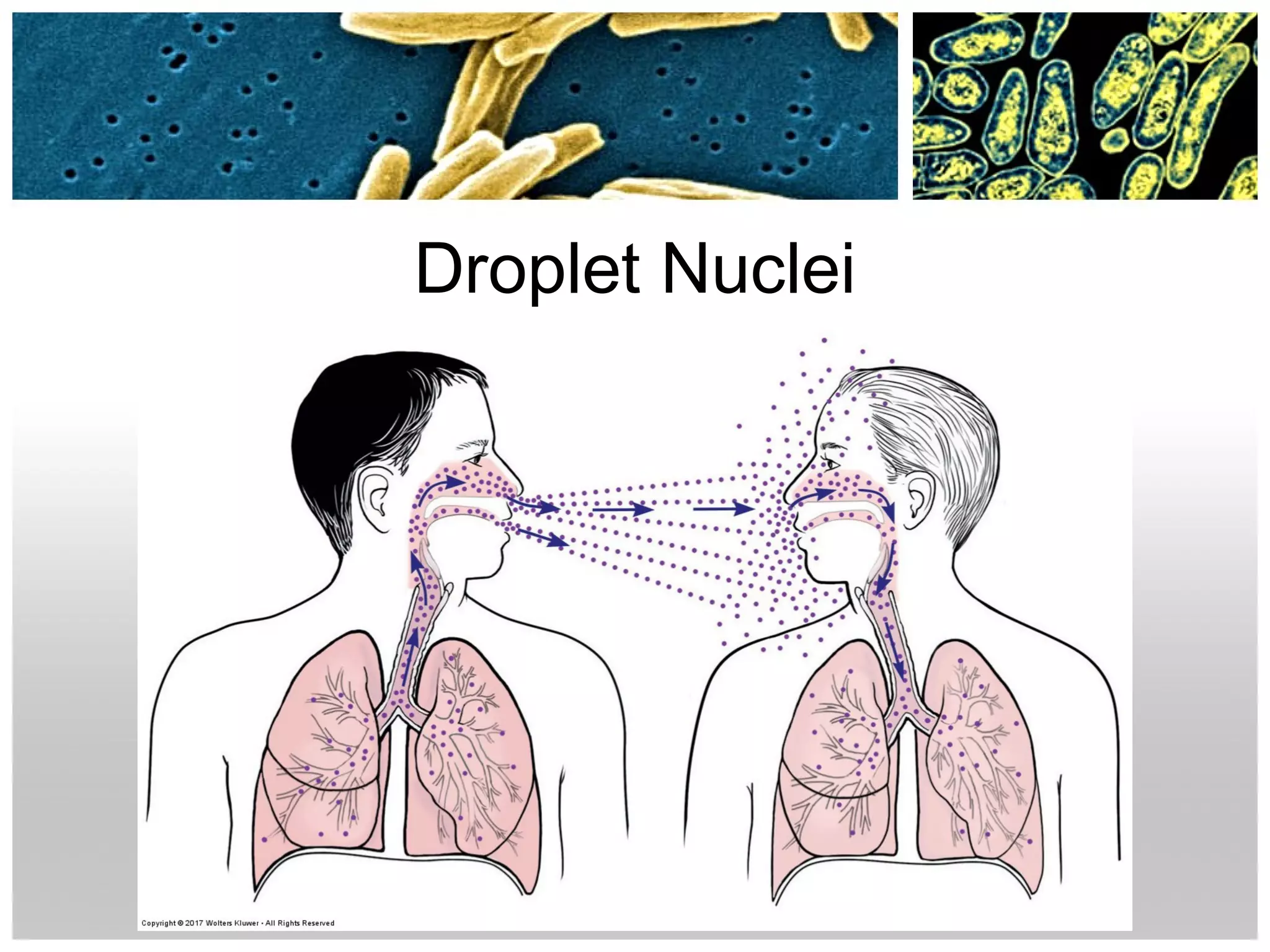 Infection control; Transmissible Disease | PPT