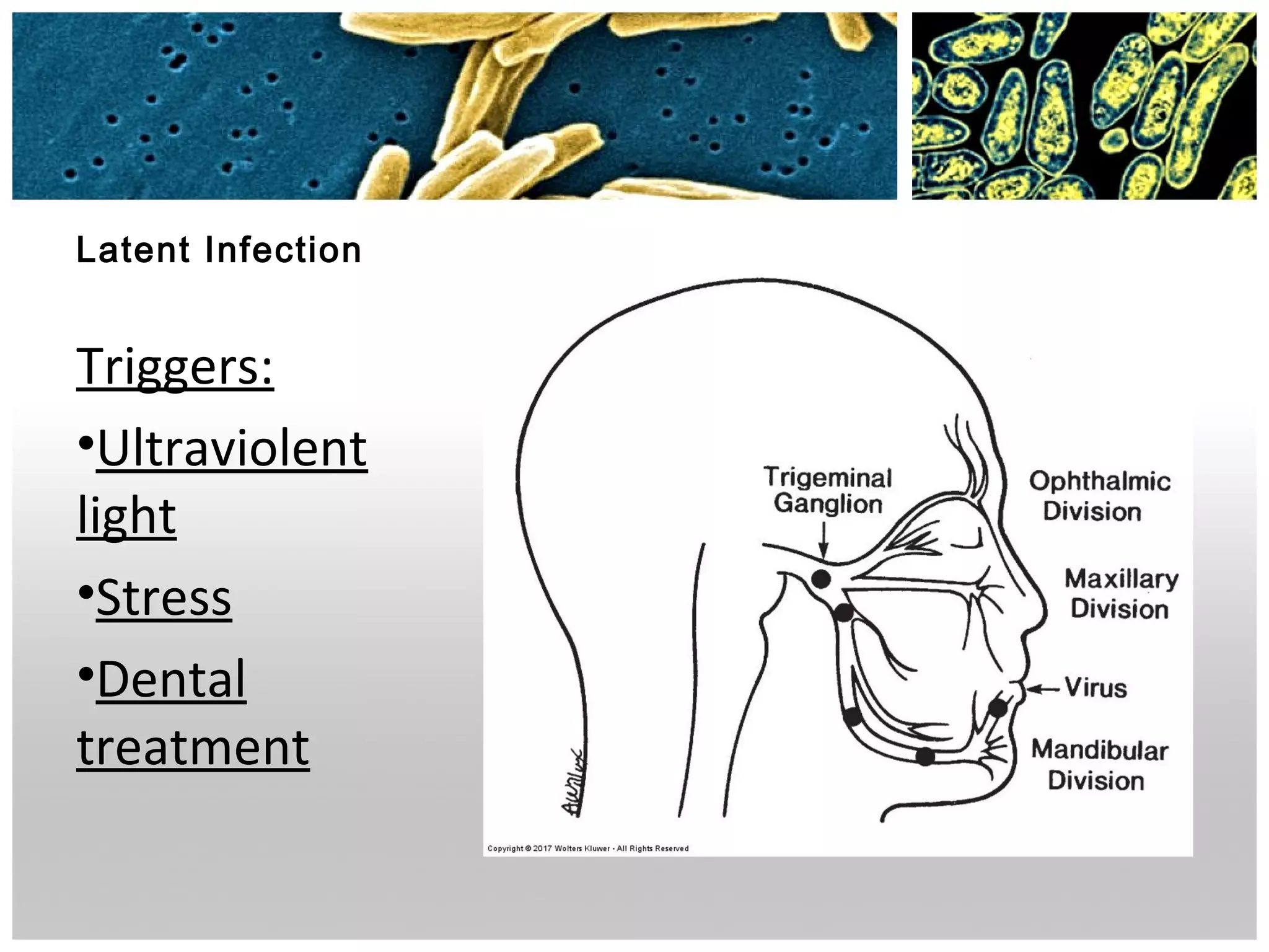 Infection control; Transmissible Disease | PPT