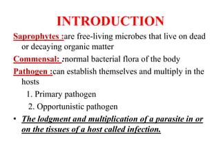 Infection | PPTX